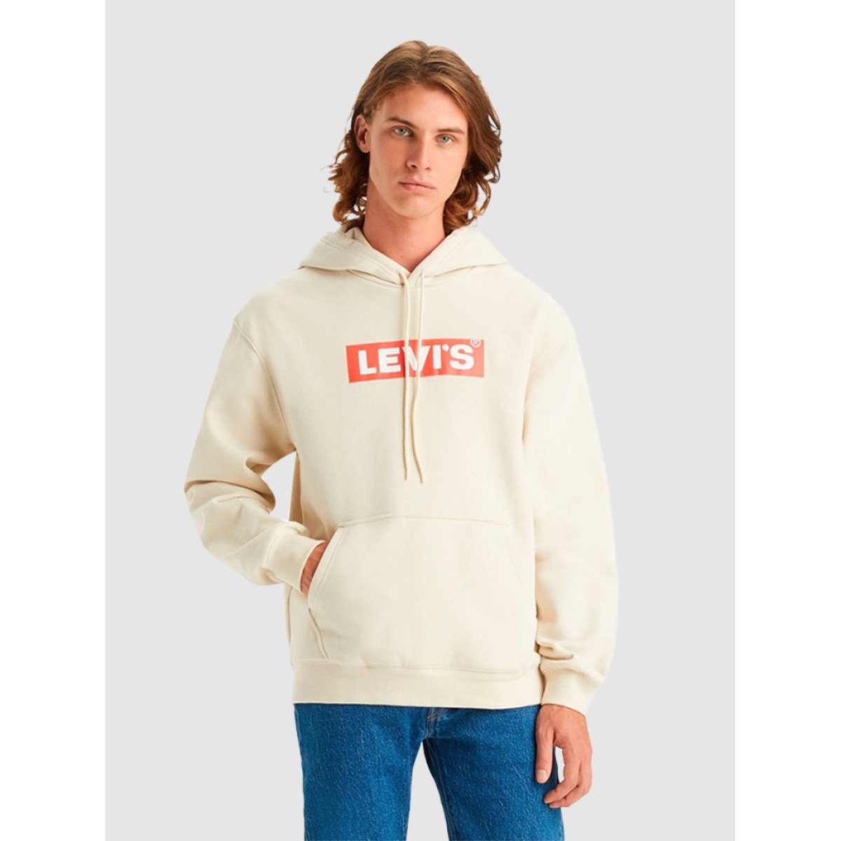 Jumper Male Levis Grey - 384790292.15 | Forte Store